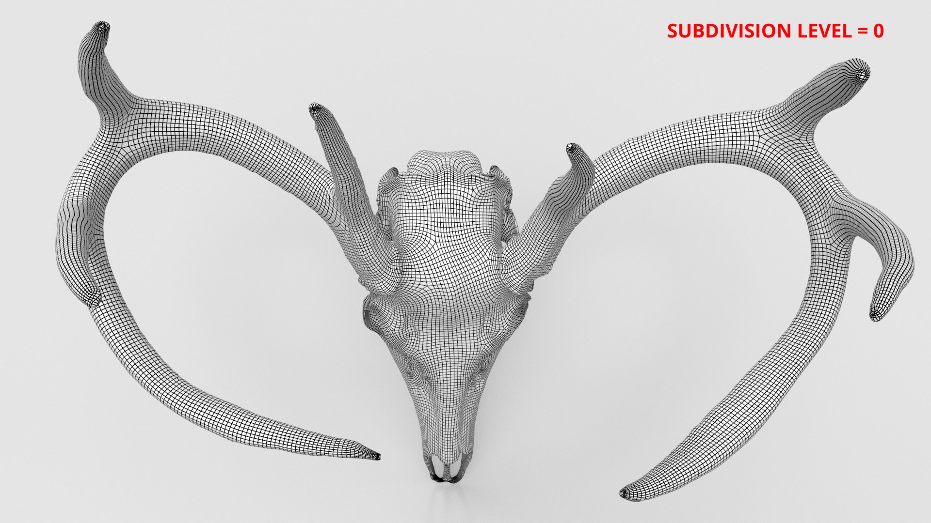 Deer Skull 3D Model - TurboSquid 1895213