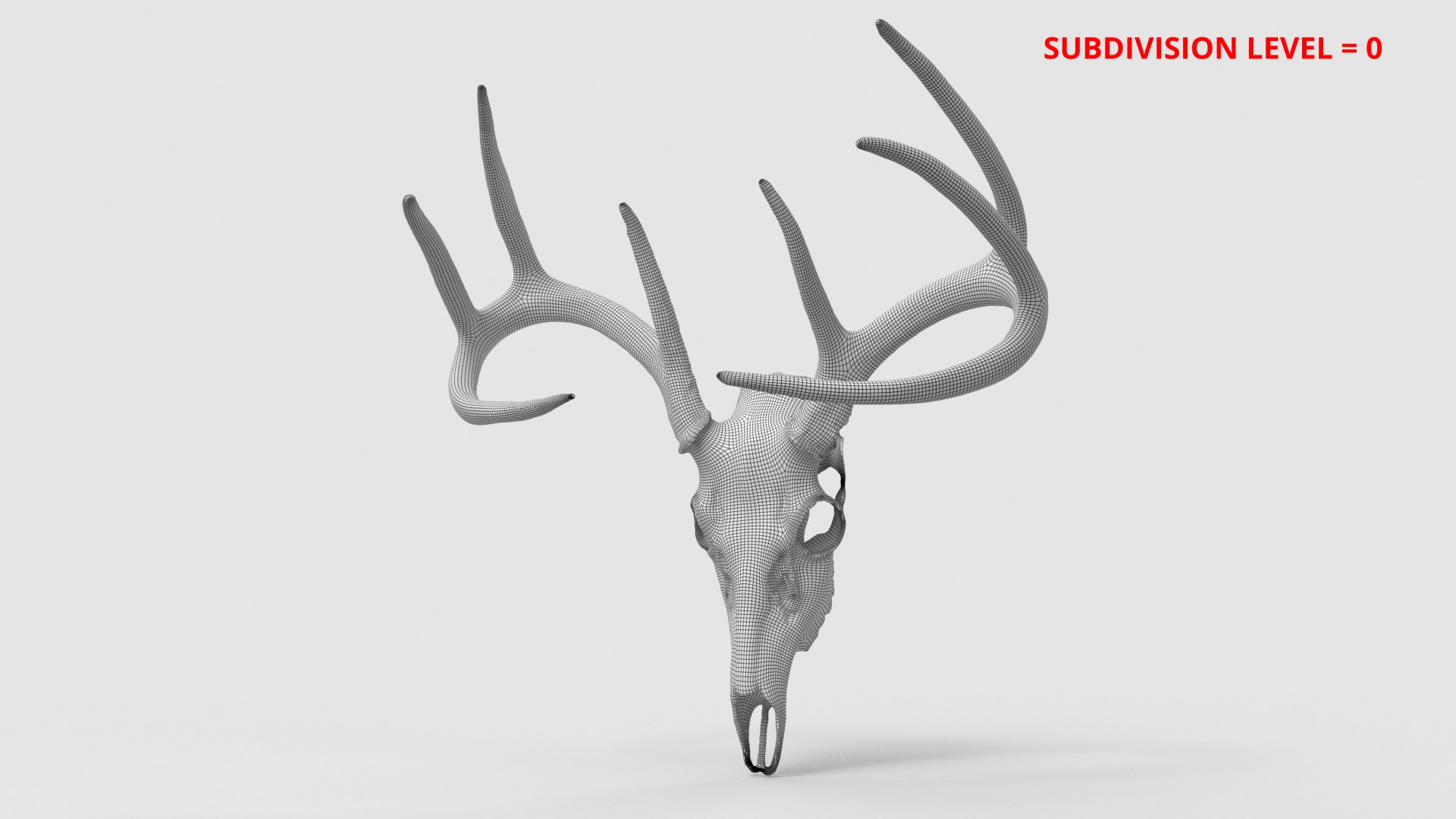 Deer Skull 3D Model - TurboSquid 1895213