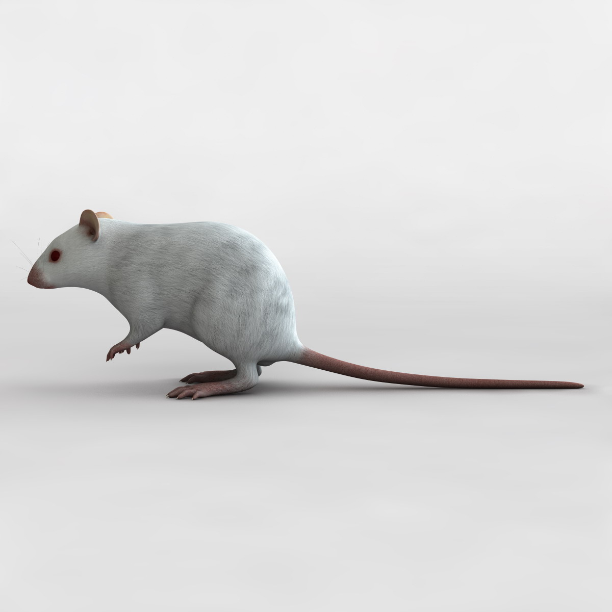 white mouse 3d model