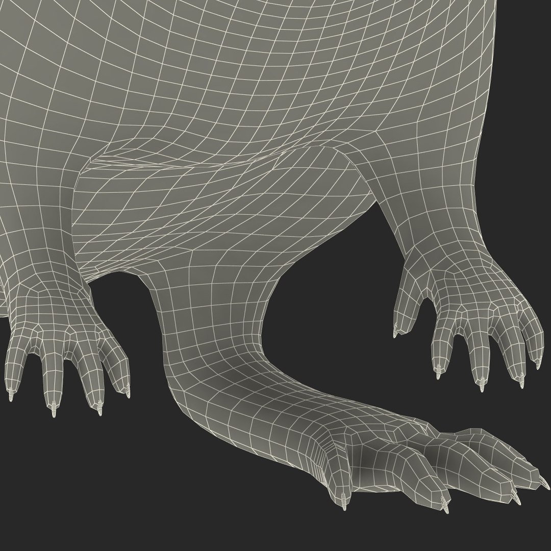 White Mouse 3d Model