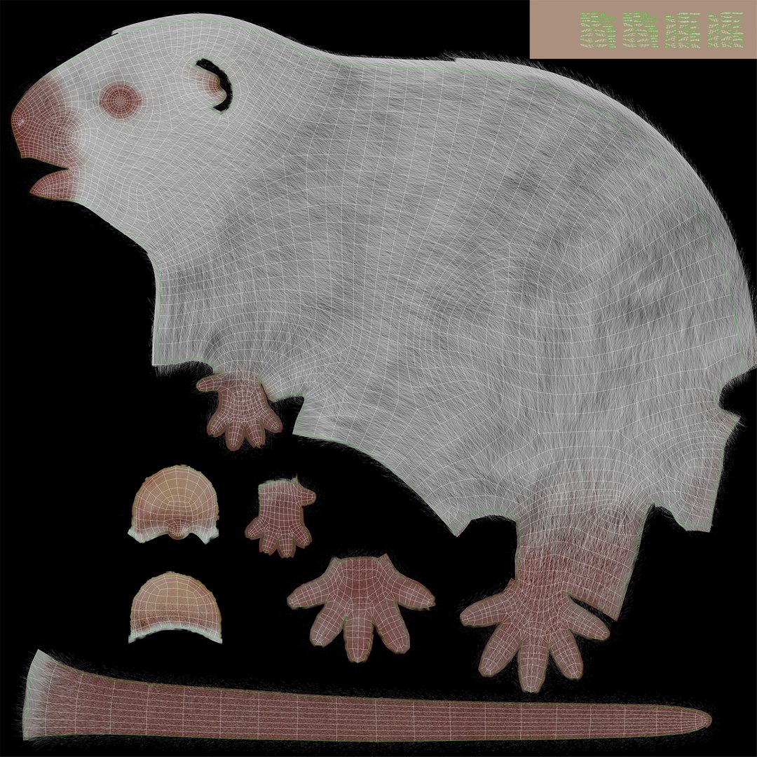 White Mouse 3d Model