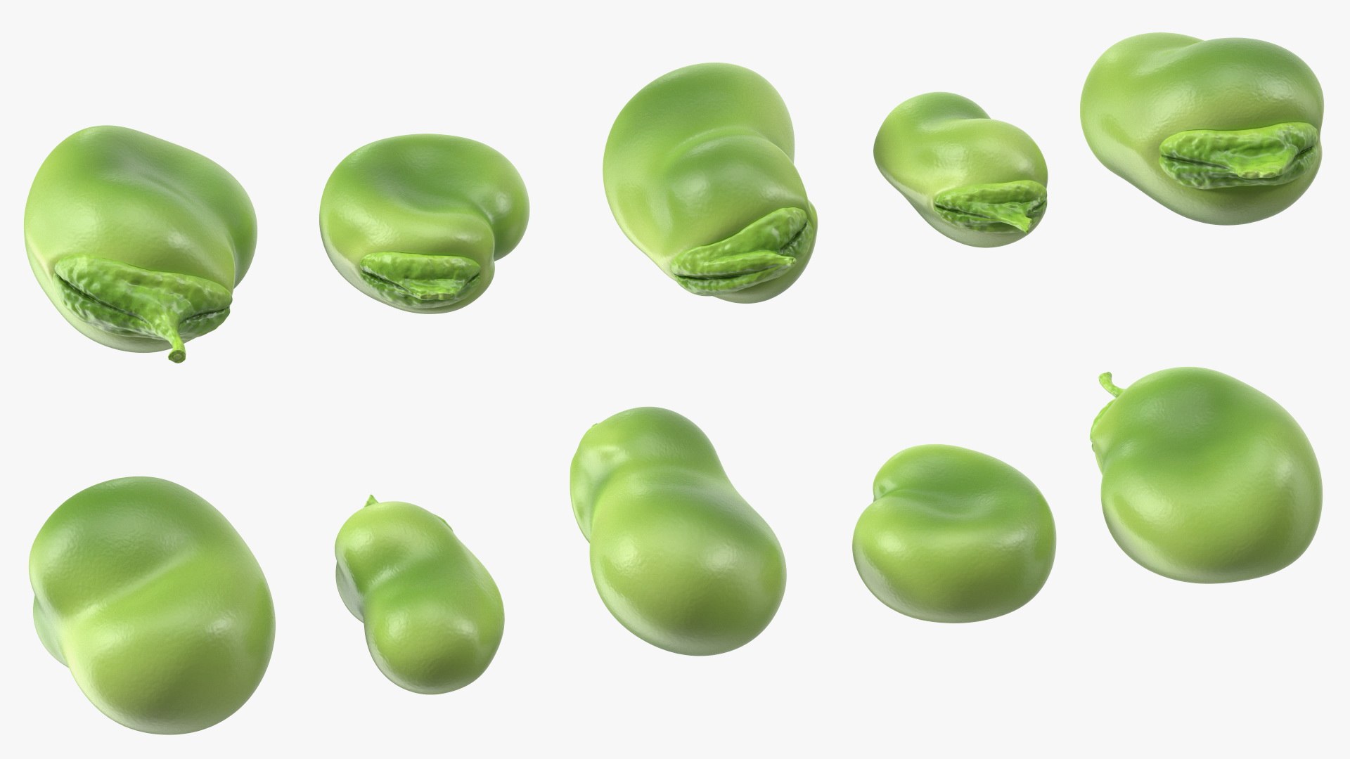 Fresh Broad Beans 3D Model - TurboSquid 1839421