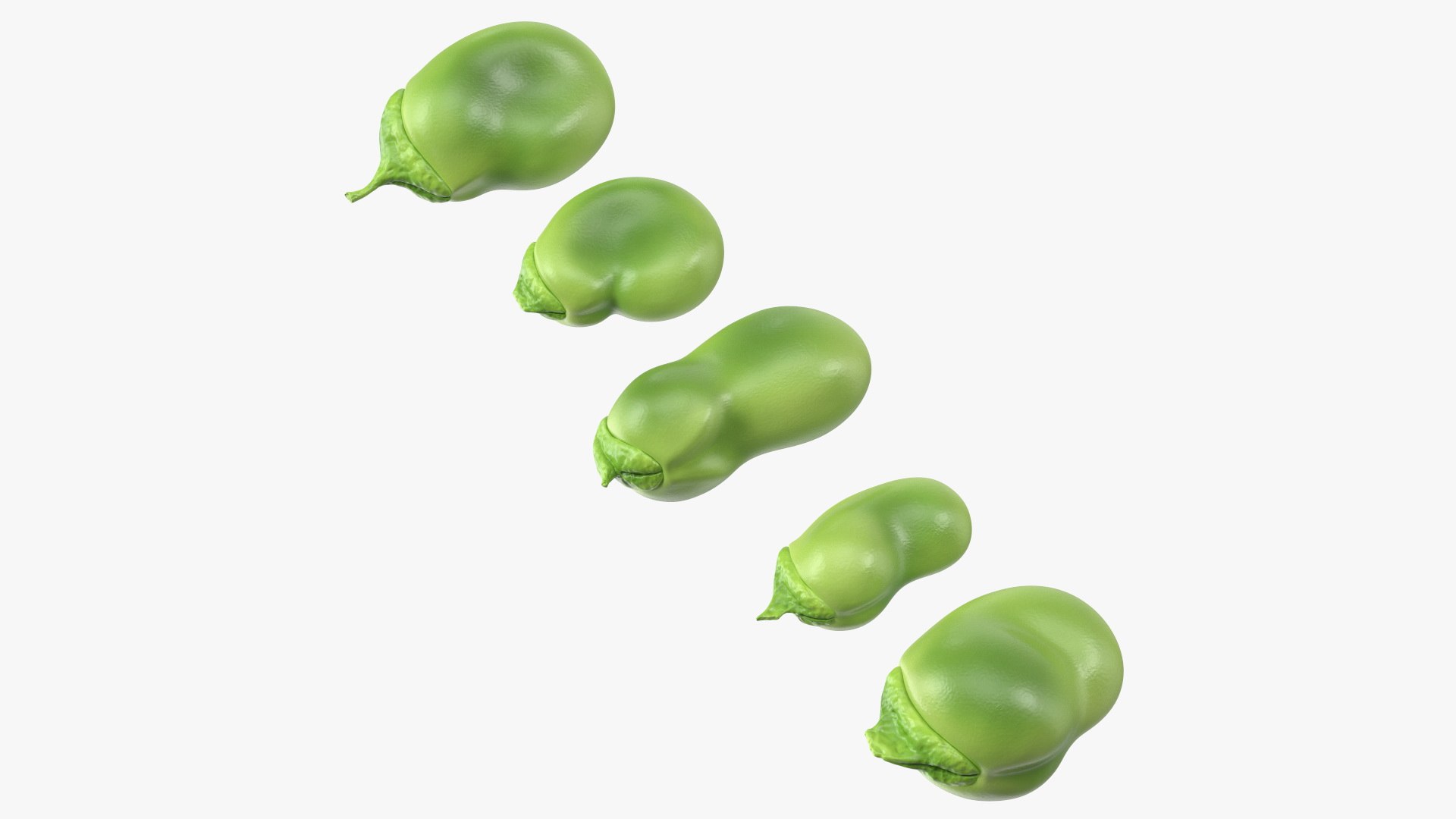 Fresh Broad Beans 3D model - TurboSquid 1839421