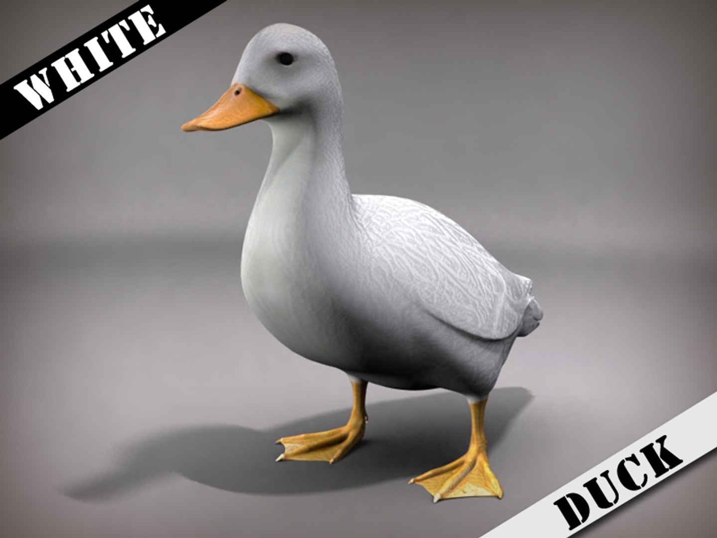 Duck 3ds