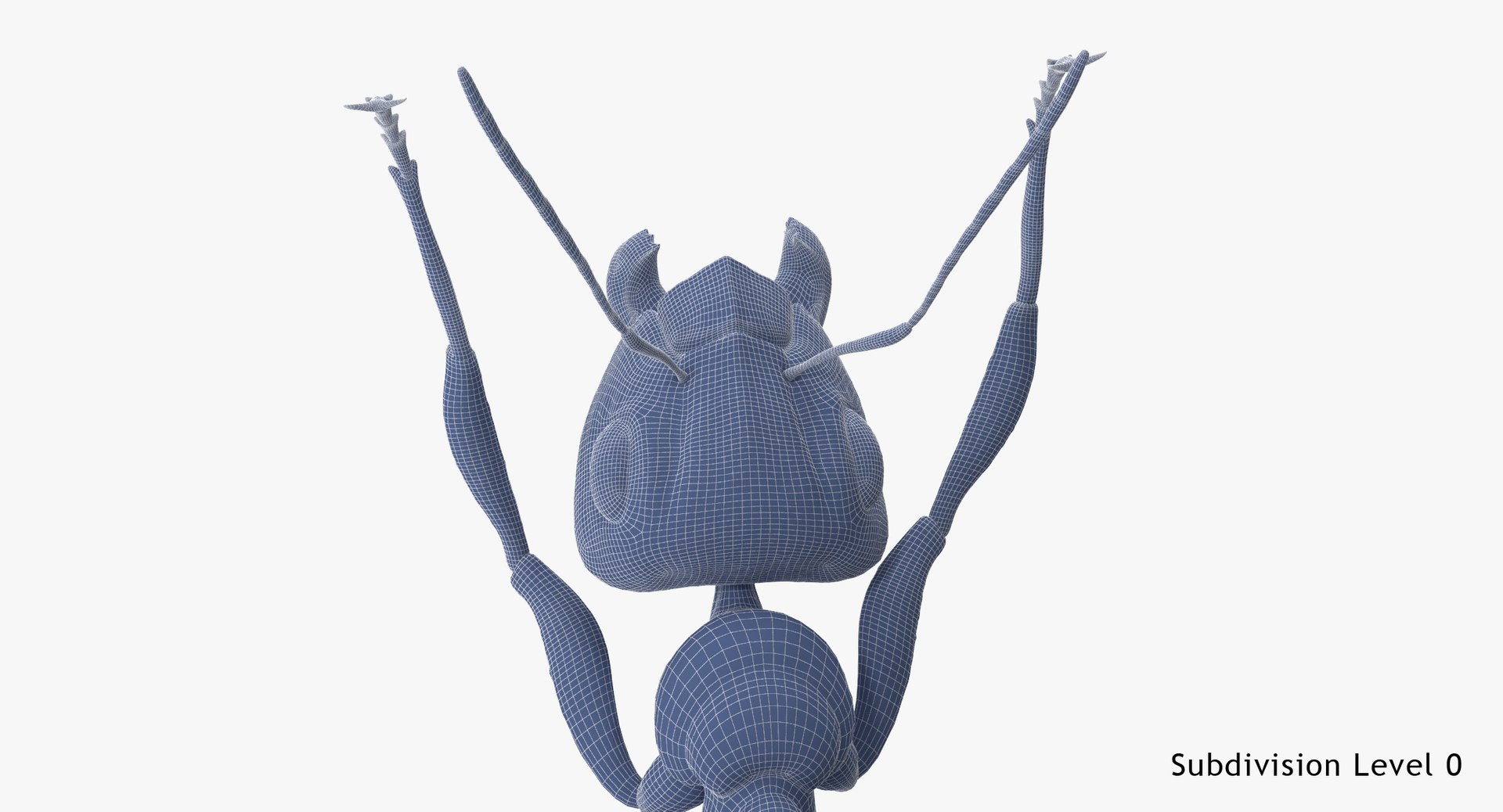Ant Holding Pose 3d Model