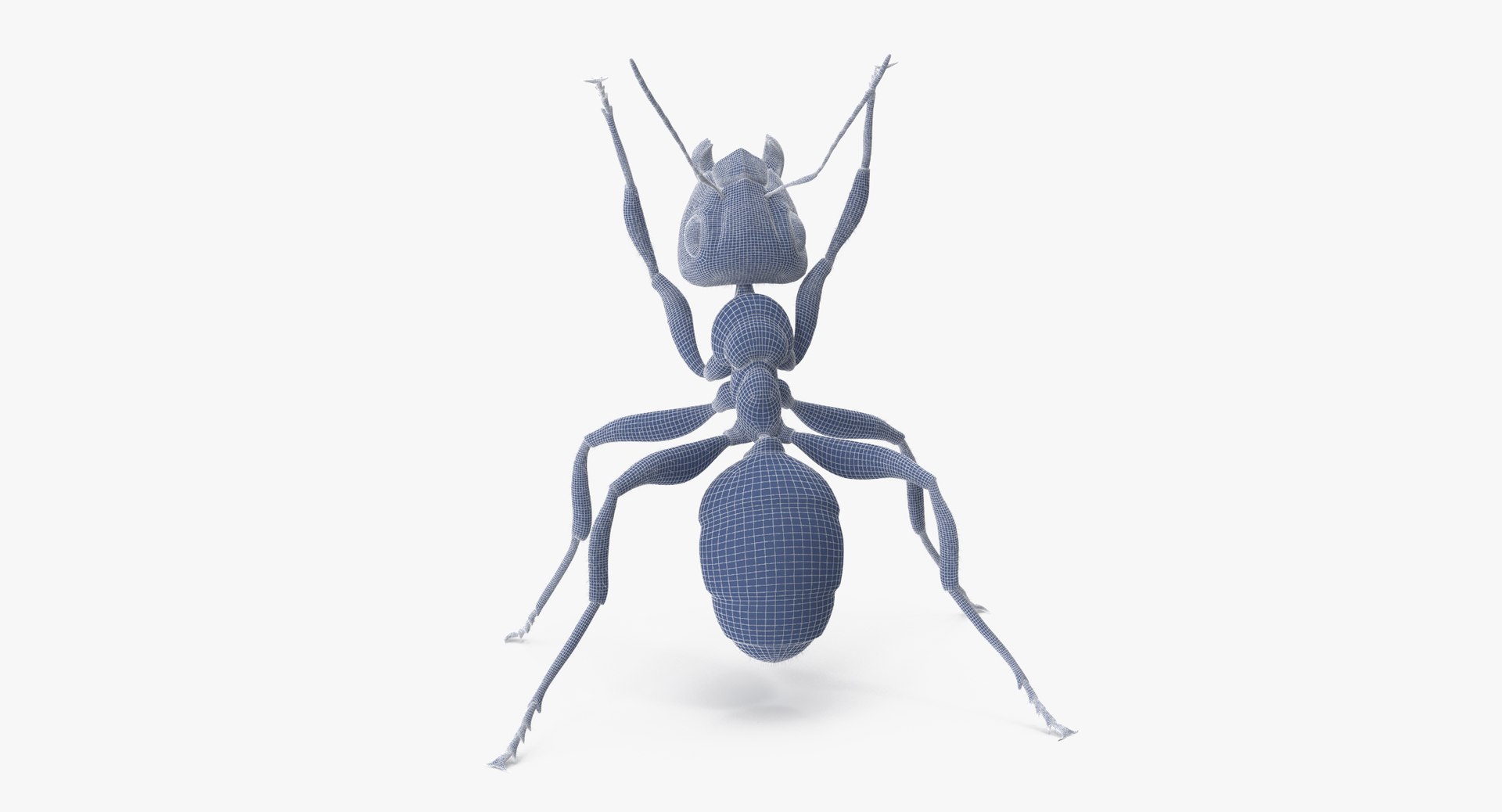 Ant Holding Pose 3d Model