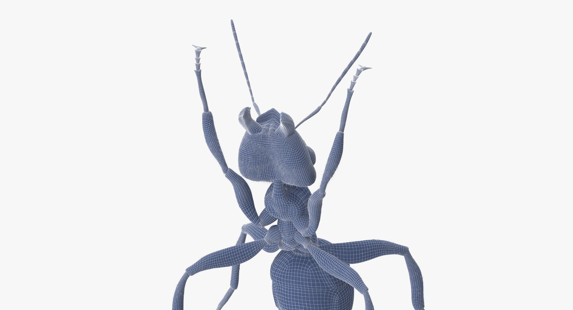 Ant Holding Pose 3d Model