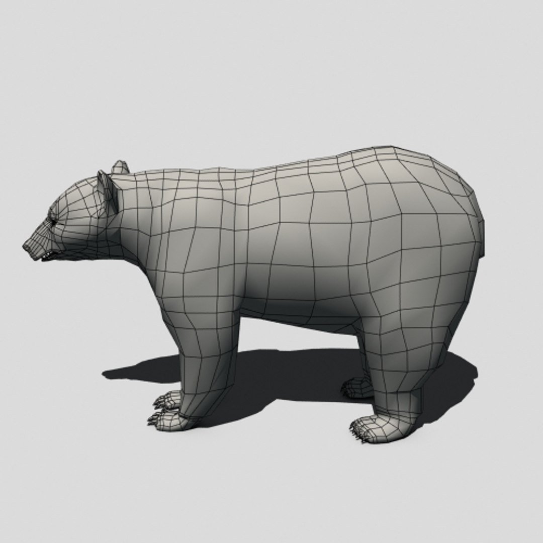 3d Black Bear Animations