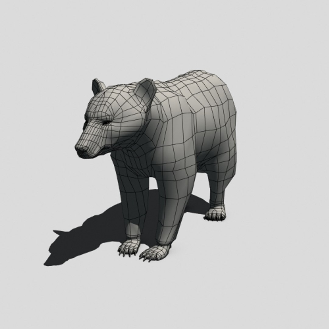 3d Black Bear Animations