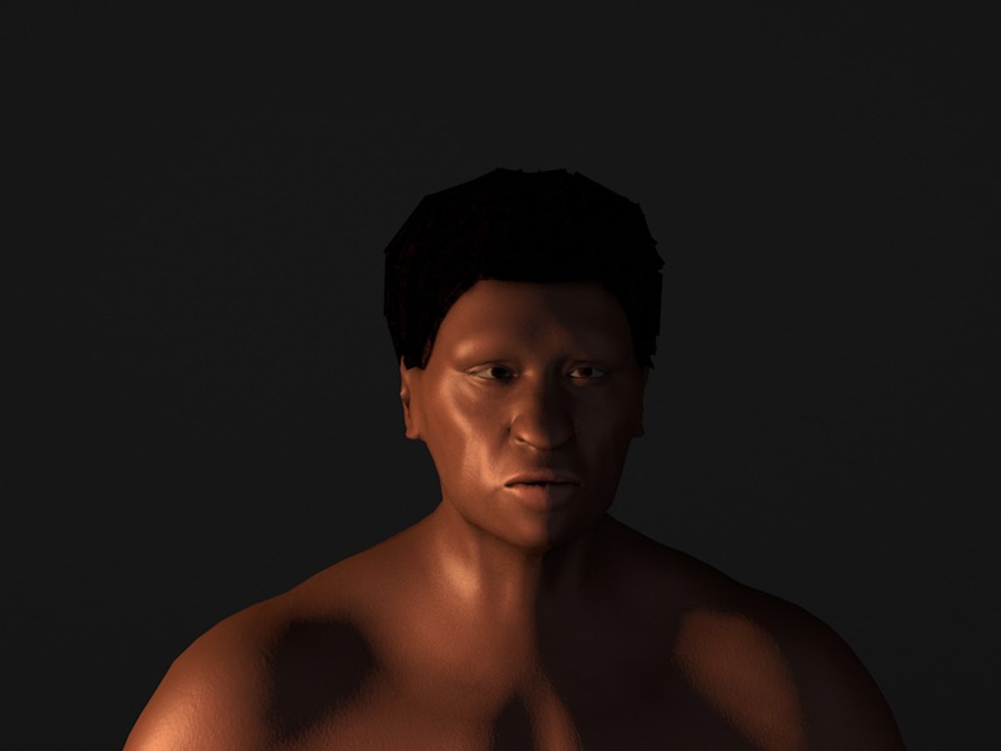 3d Rigg