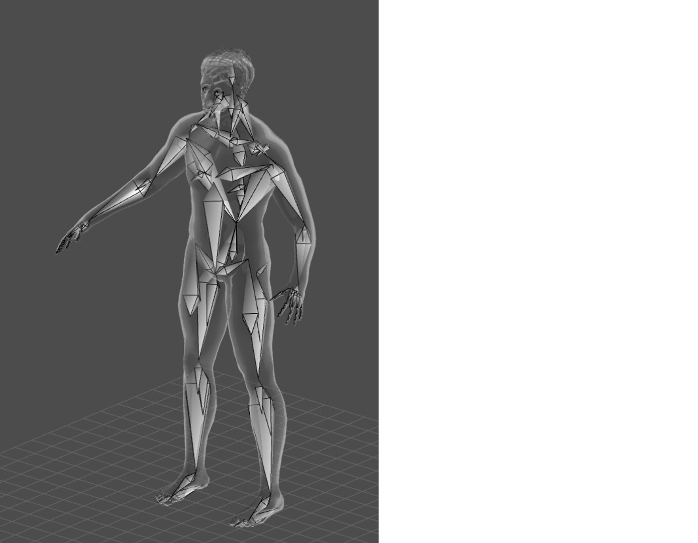 3d Rigg