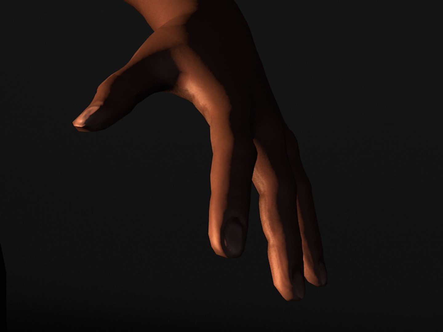 3d Rigg