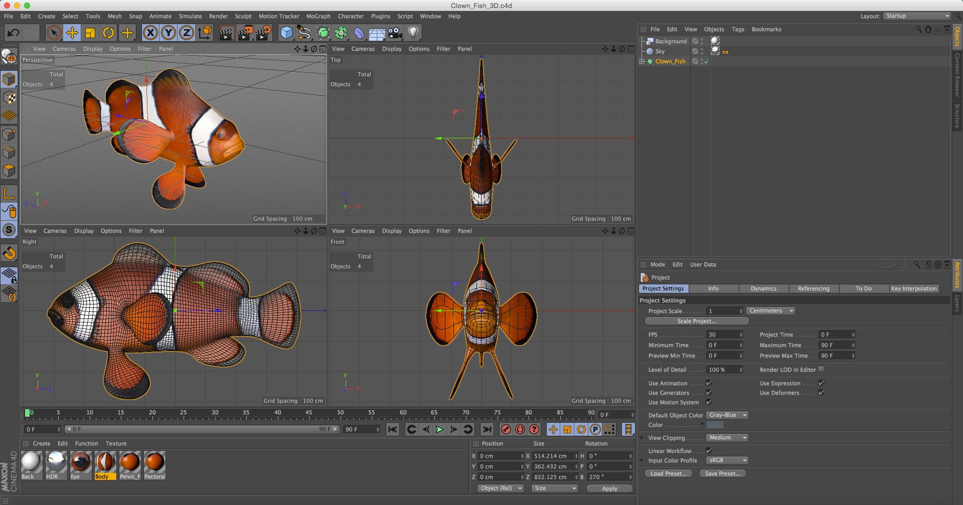 Cinema4d Anemonefish Nemo