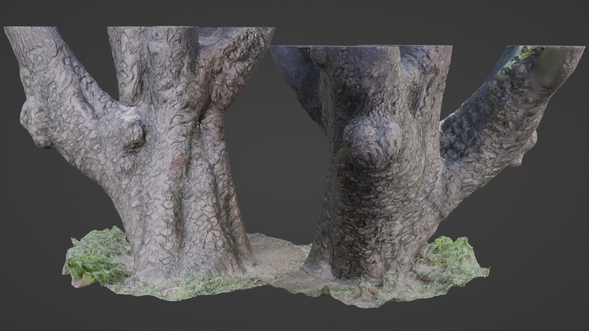 Stylized Tree Scan 3D Model - TurboSquid 2329327