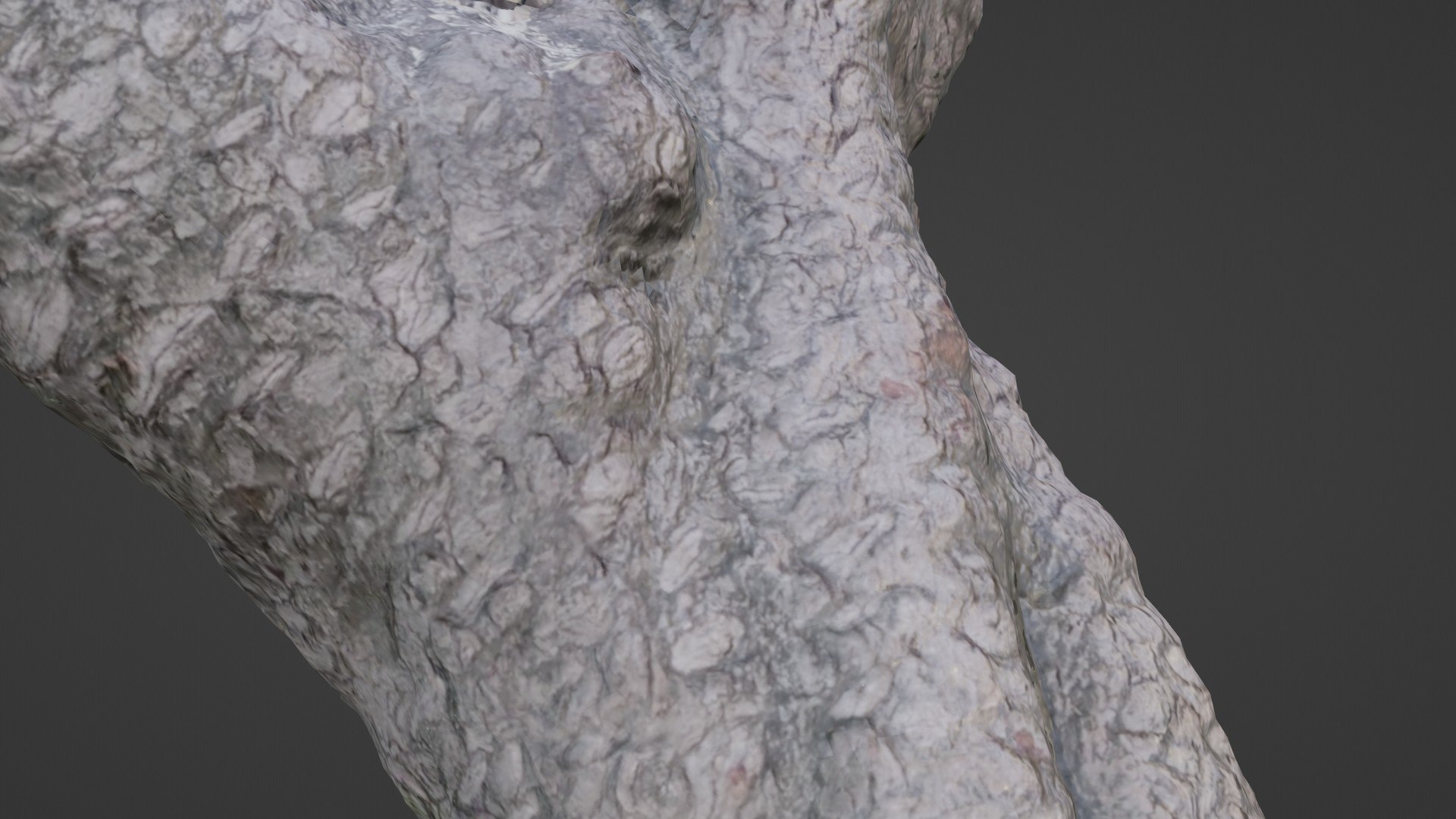 Stylized Tree Scan 3D Model - TurboSquid 2329327