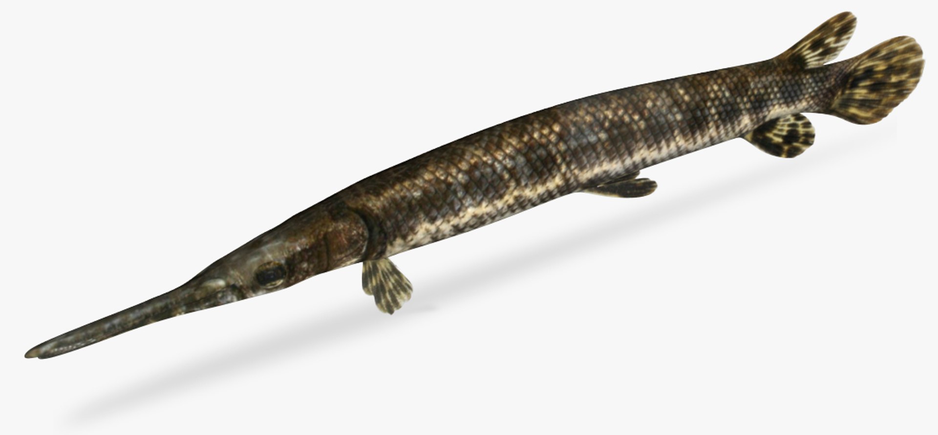 Gar Collection Model - TurboSquid 1811822