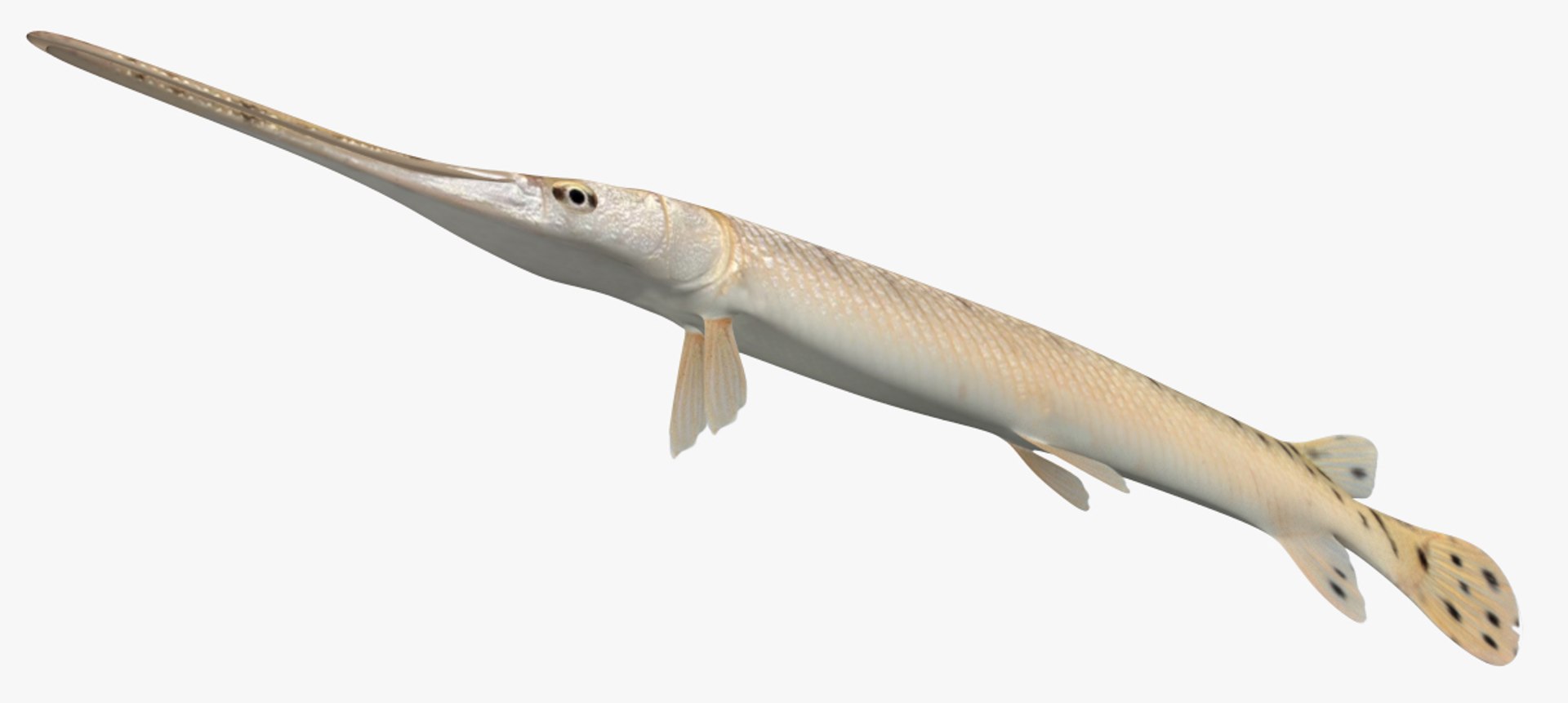 Gar Collection Model - TurboSquid 1811822