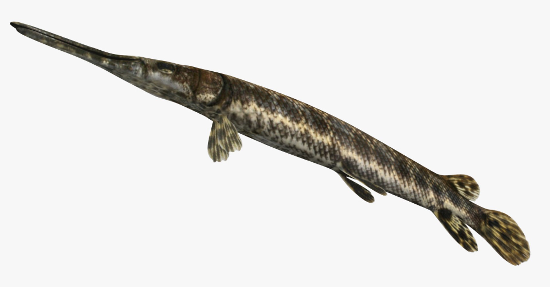 Gar Collection Model - TurboSquid 1811822