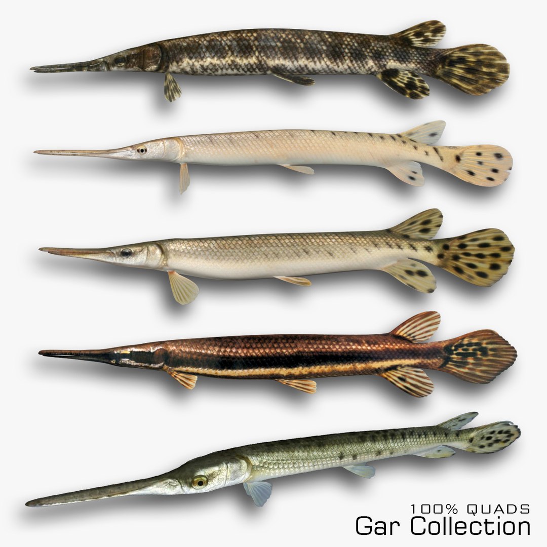 Gar Collection Model - TurboSquid 1811822