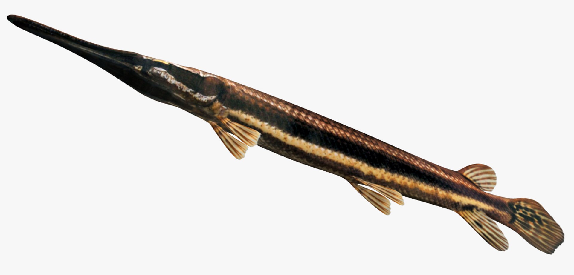 Gar Collection Model - TurboSquid 1811822