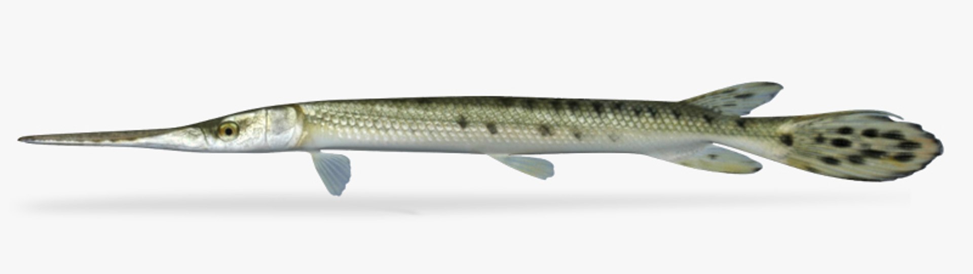 Gar Collection Model - TurboSquid 1811822