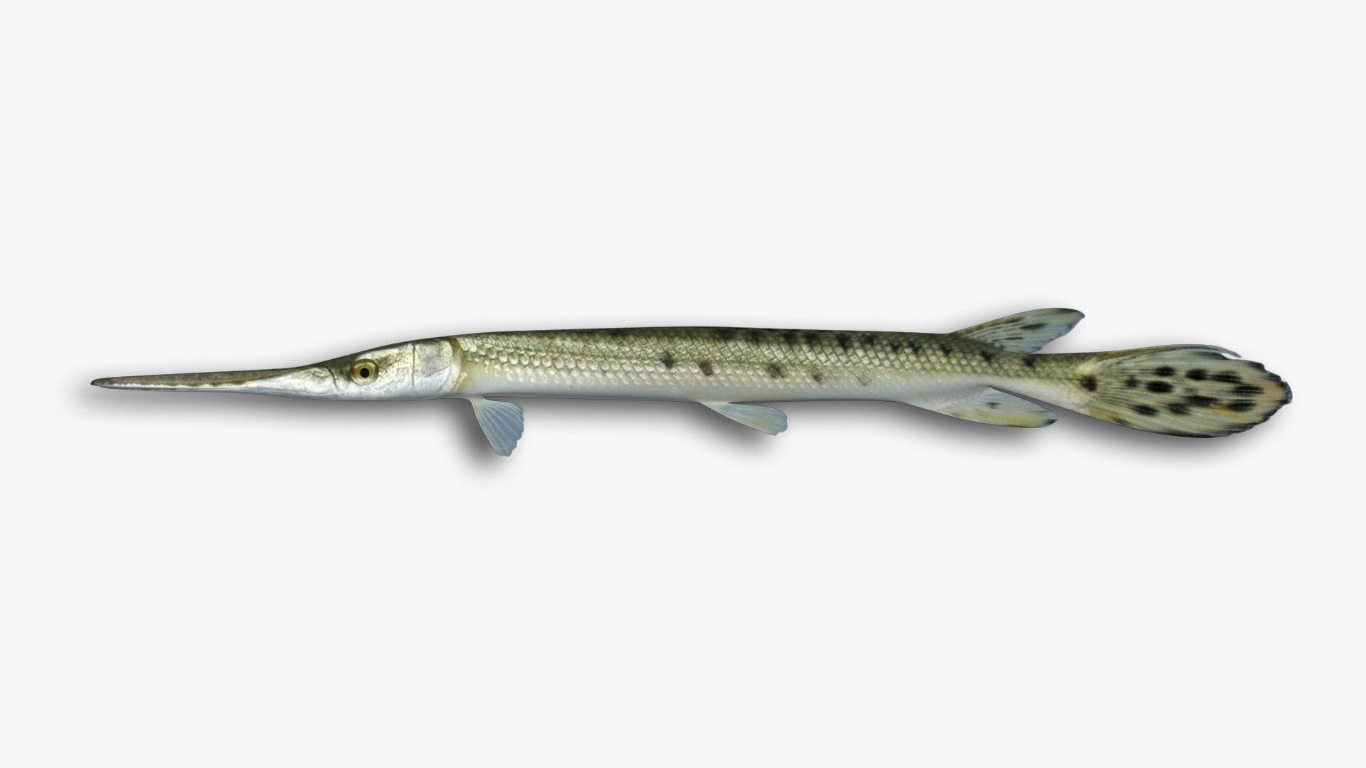 Gar Collection Model - TurboSquid 1811822