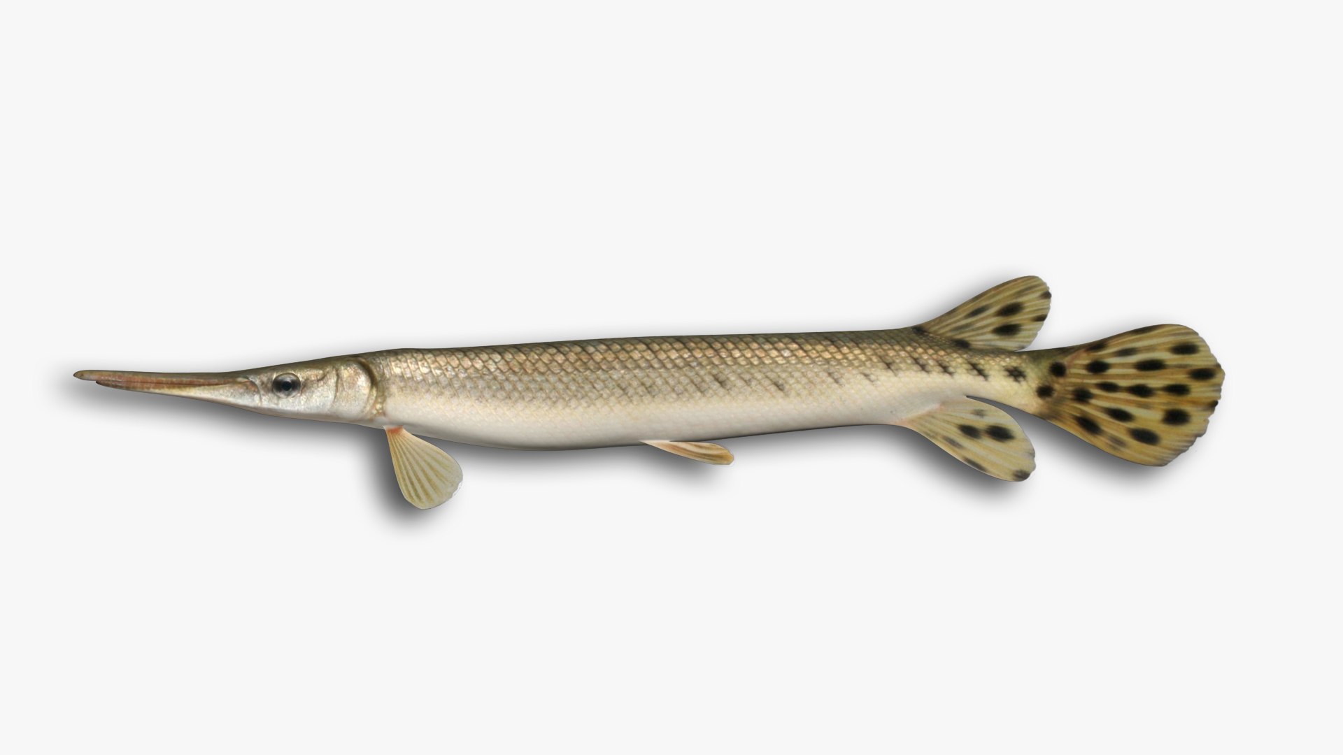 Gar Collection Model - TurboSquid 1811822