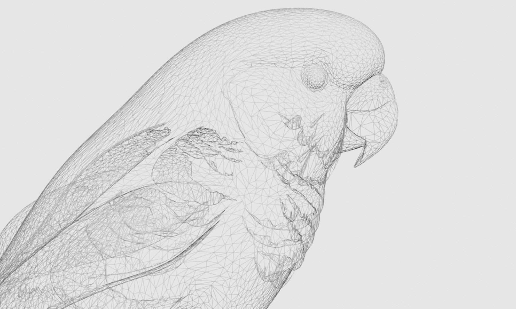 Hyper Realistic Rainbow Budgerigar 3D Model 3D Model - TurboSquid 2510496