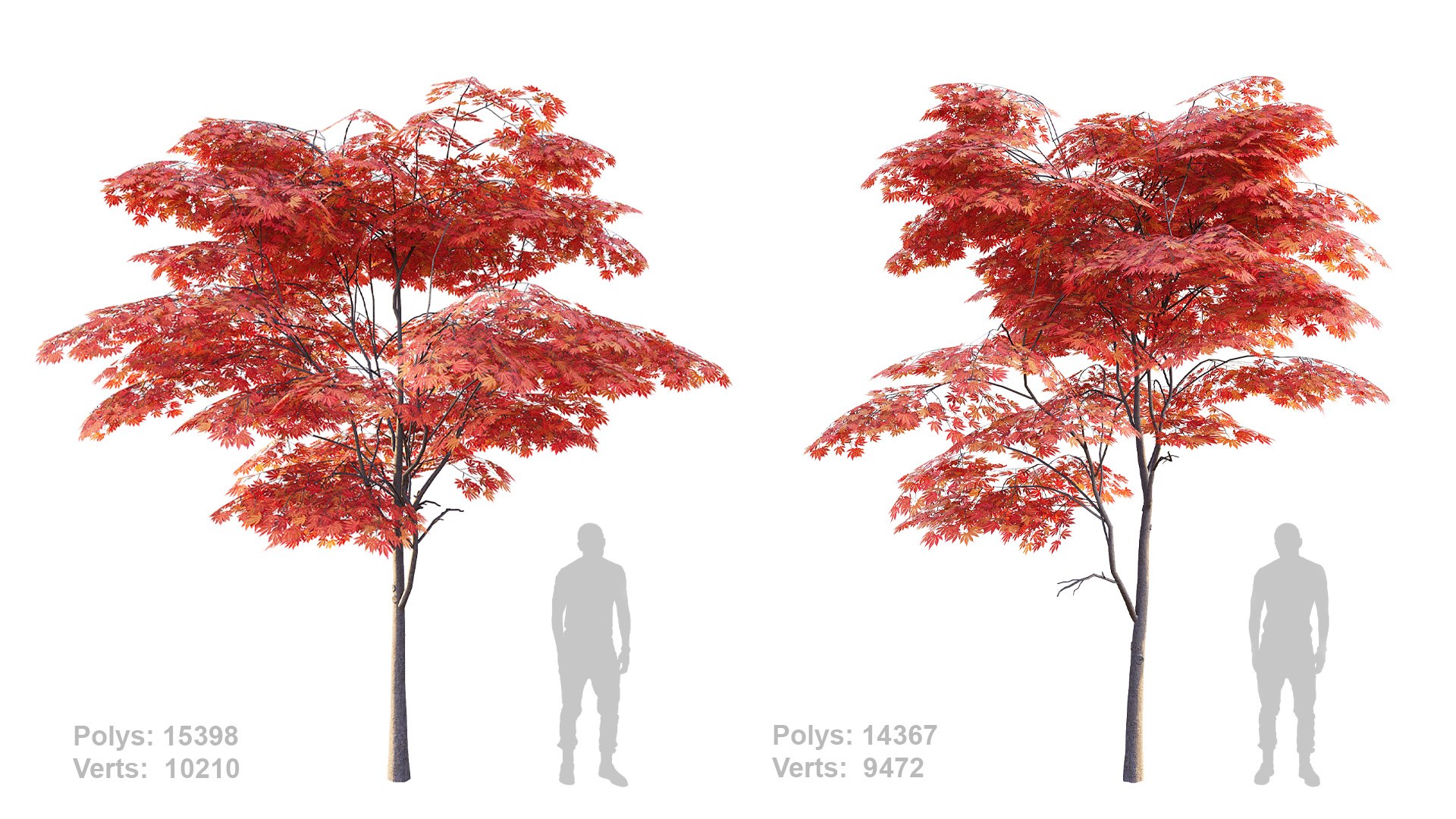 Japanese Maple Set 4K PBR 3D Model - TurboSquid 2408166
