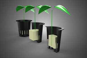 Low Poly 3D Netcup Models For Download | TurboSquid