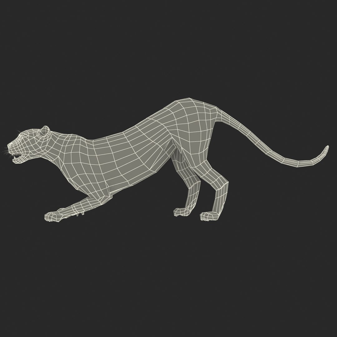 Cheetah 2 Pose 4 3d Max