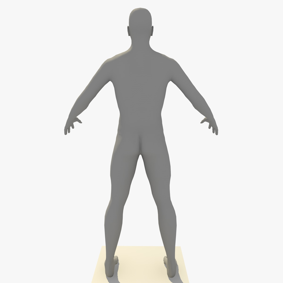 3d realistic base mesh 24