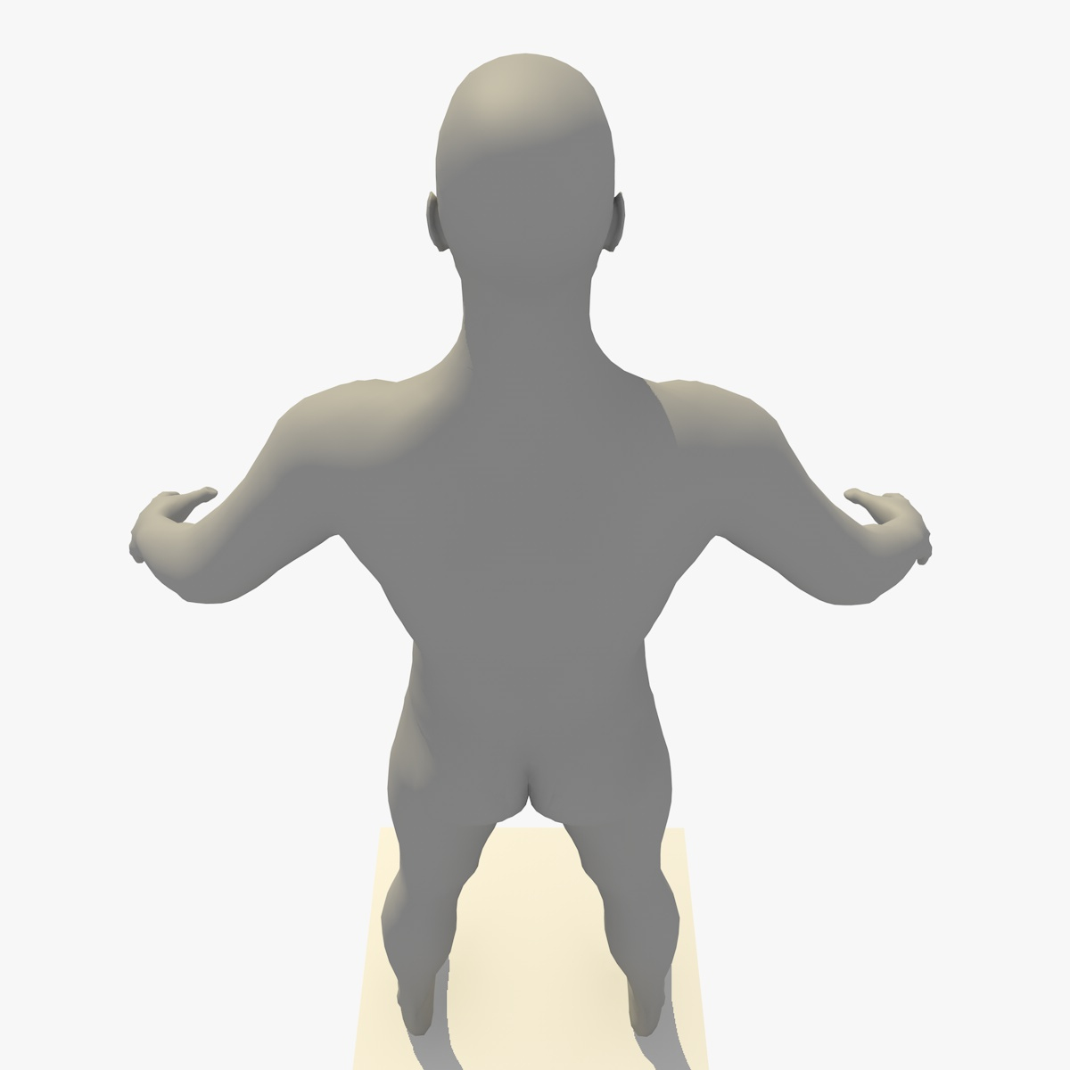 3d realistic base mesh 24