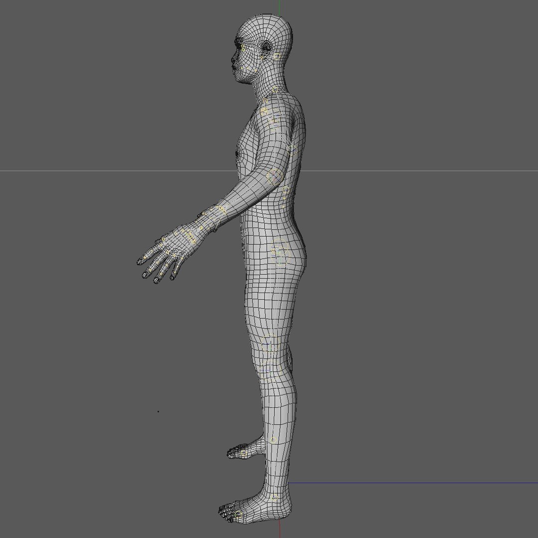 3d realistic base mesh 24
