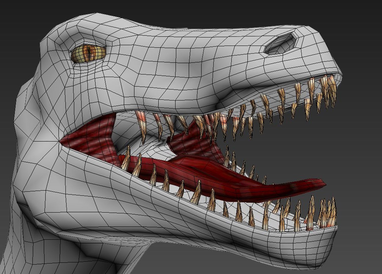 Velociraptor Raptor 3d Model