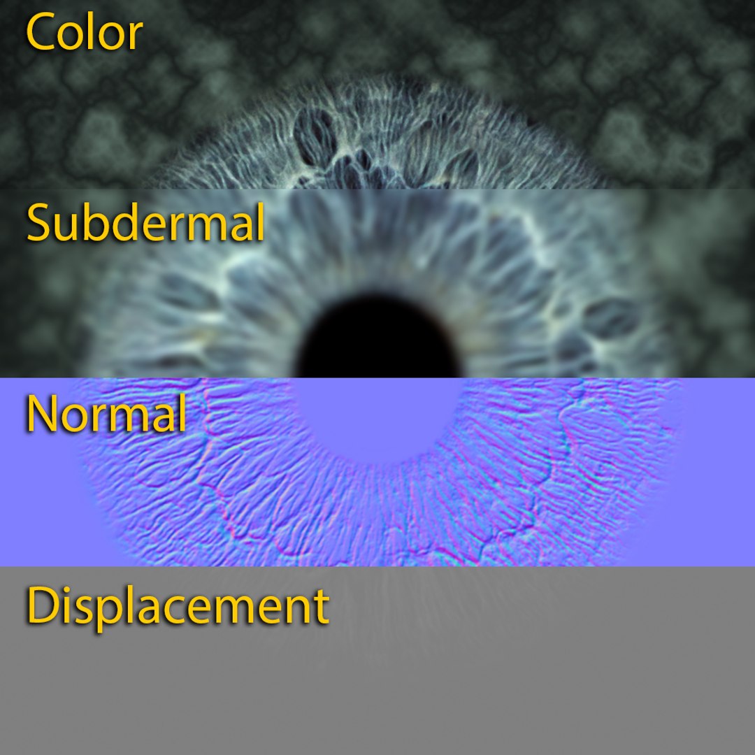 3d realistic human creature eye pupil model