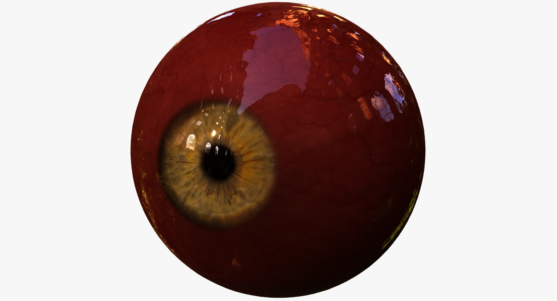 3d realistic human creature eye pupil model