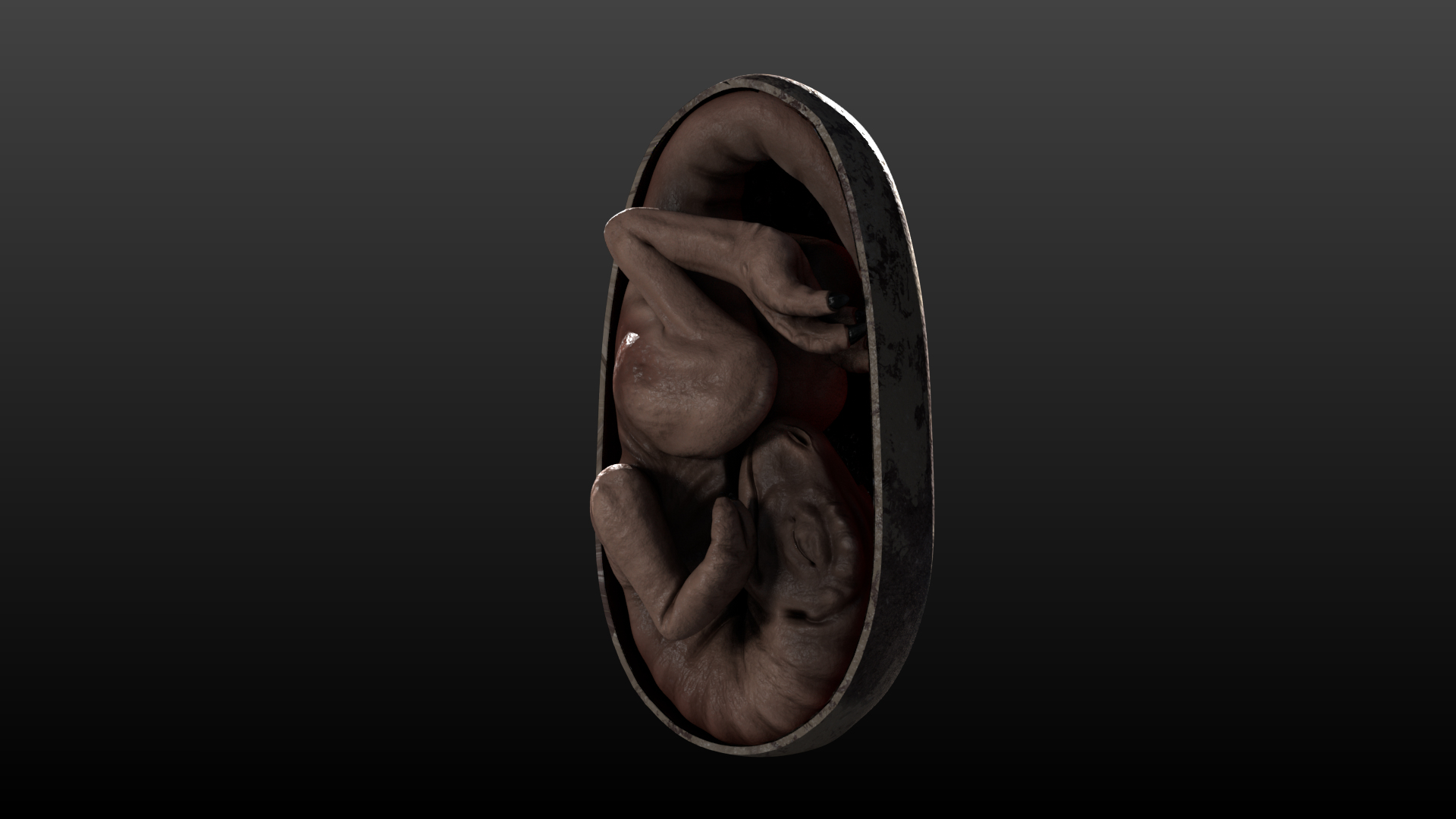 Dinosaur Embryo 3D - TurboSquid 1363273