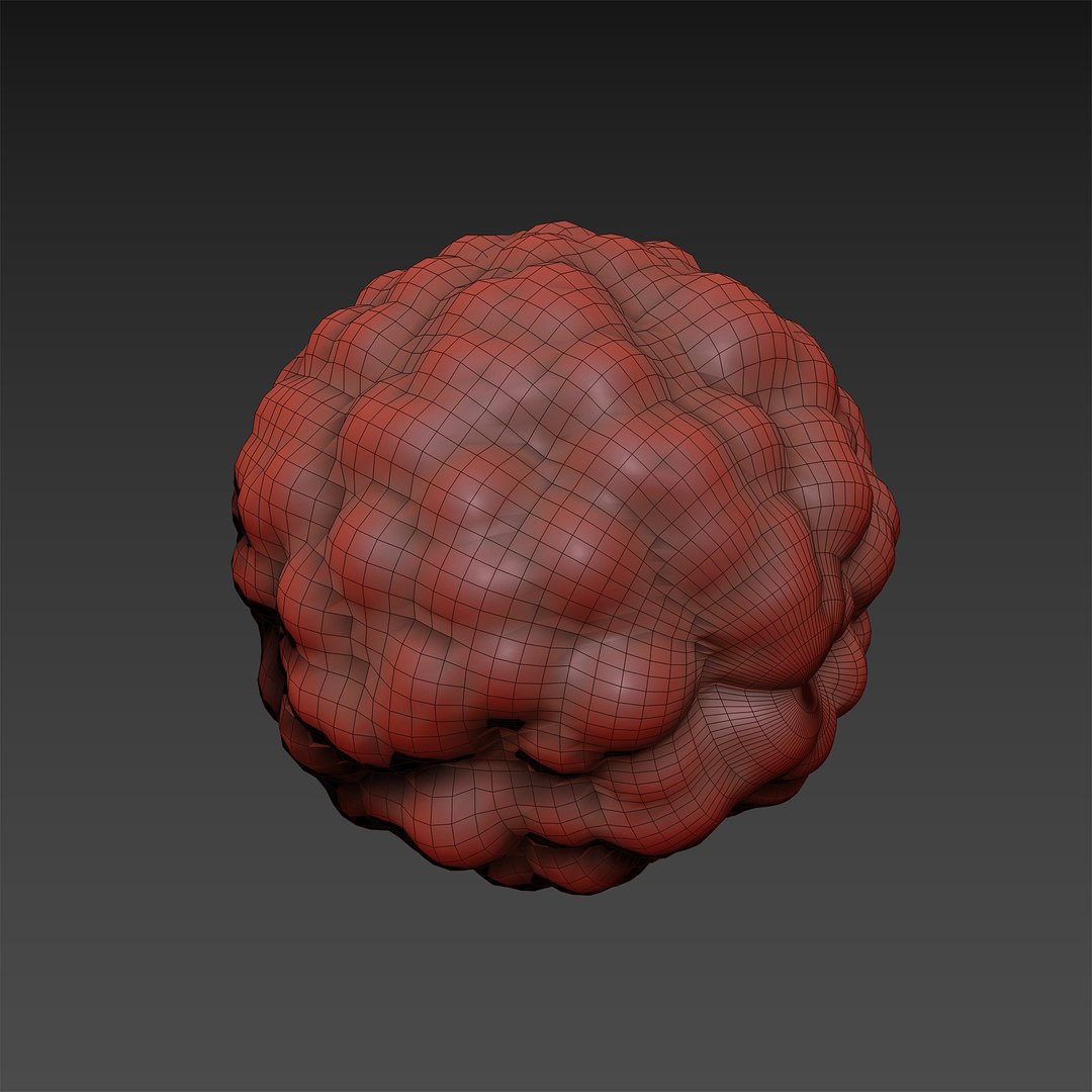 Microbes bacteria cells 3D model - TurboSquid 1626195