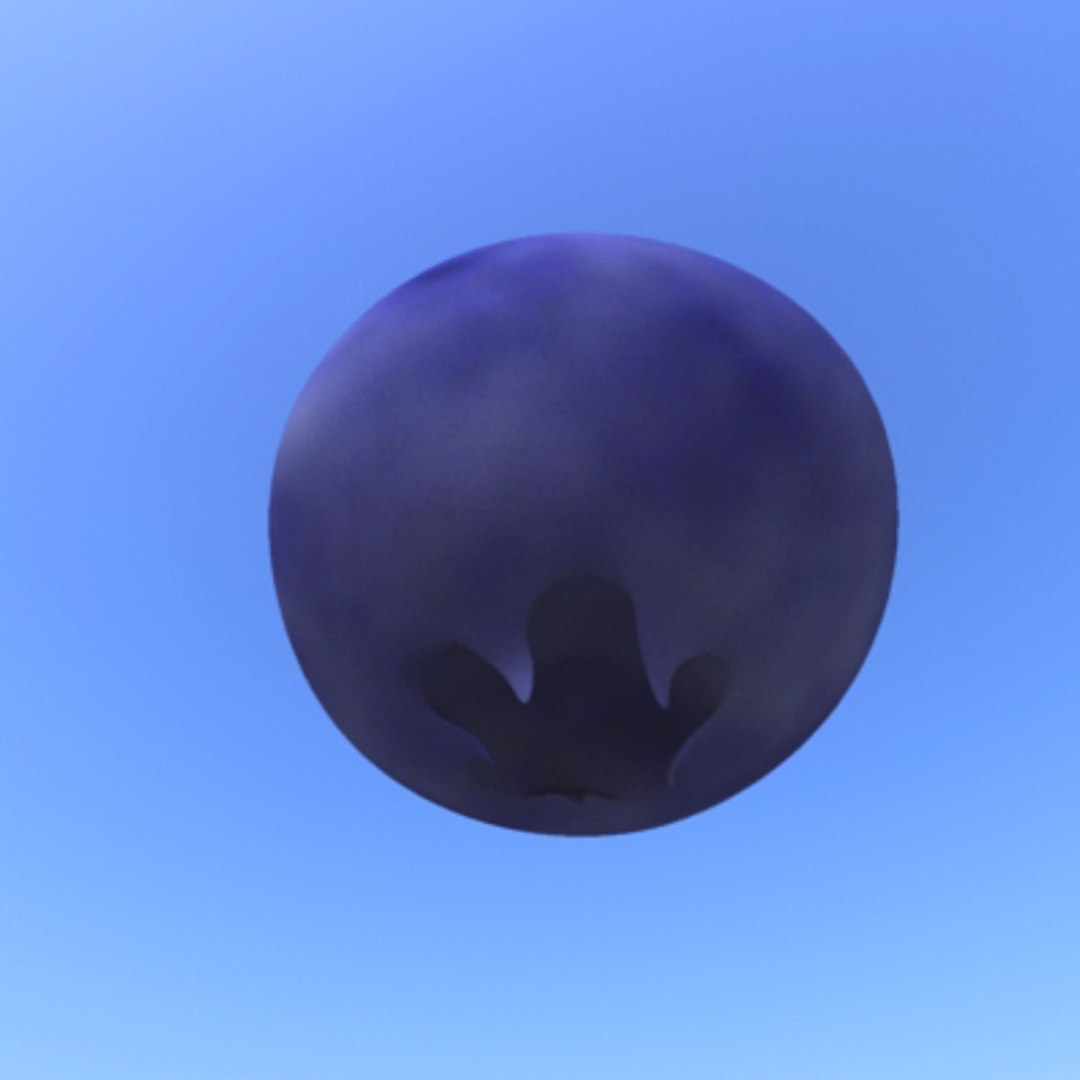 Blueberry Berry 3d Model