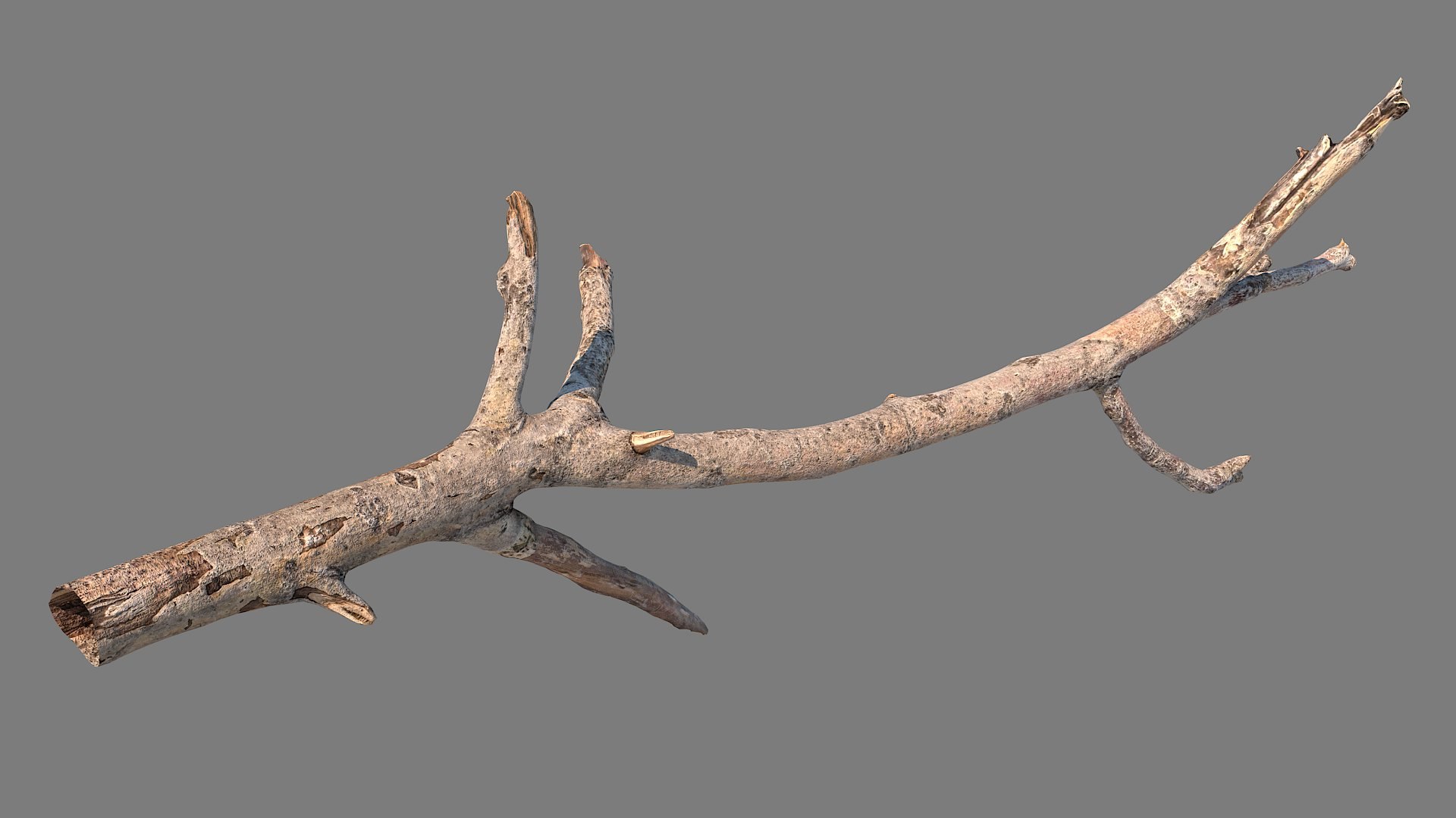 3D Twig Scanned 27 - TurboSquid 2088512