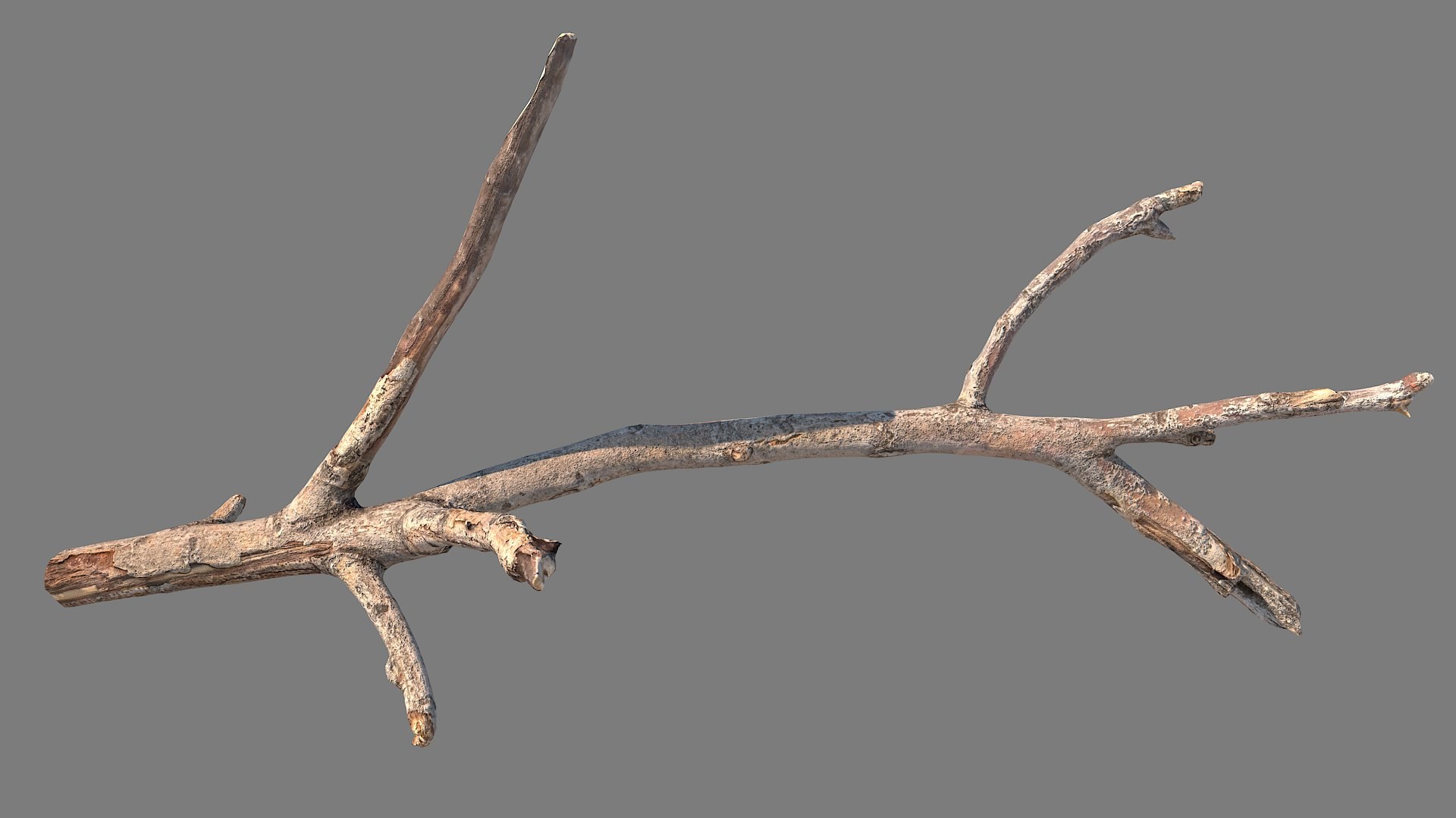 3D Twig Scanned 27 - TurboSquid 2088512