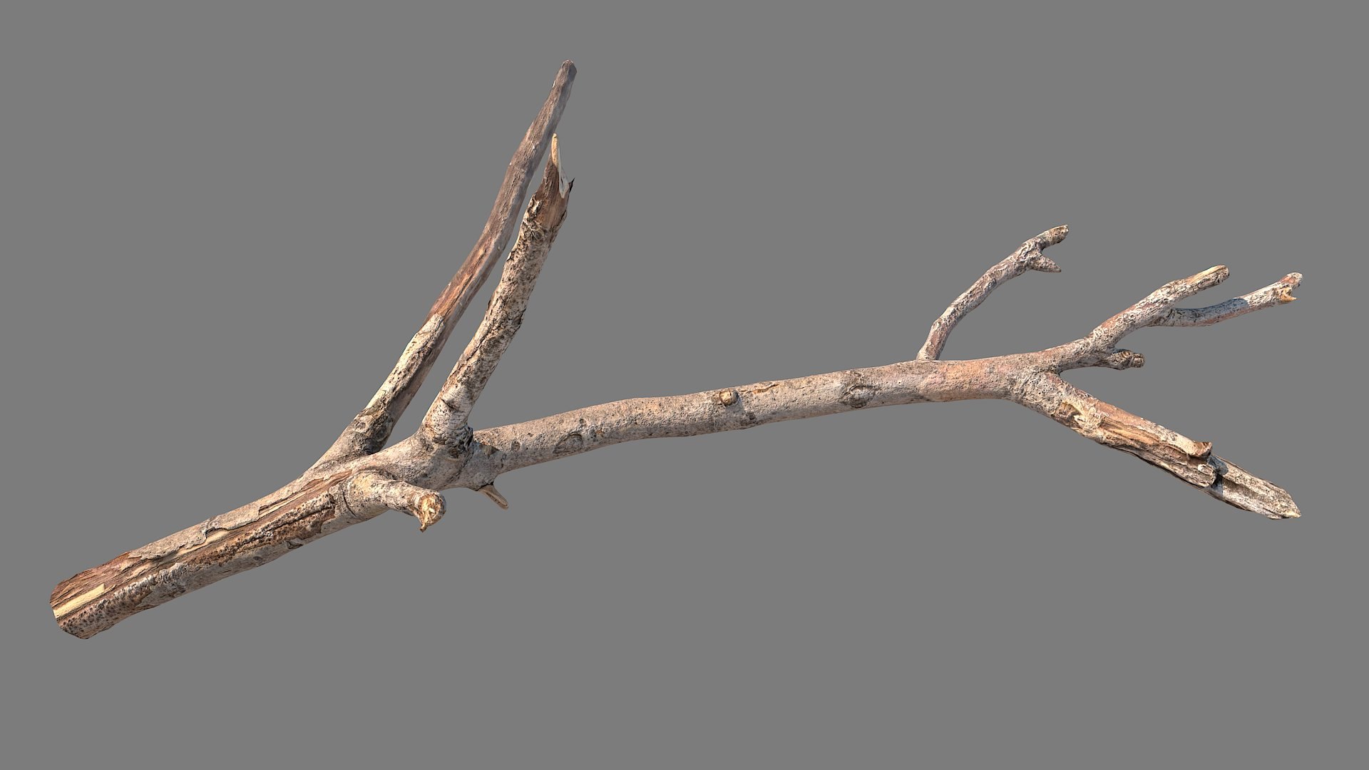 3D Twig Scanned 27 - TurboSquid 2088512