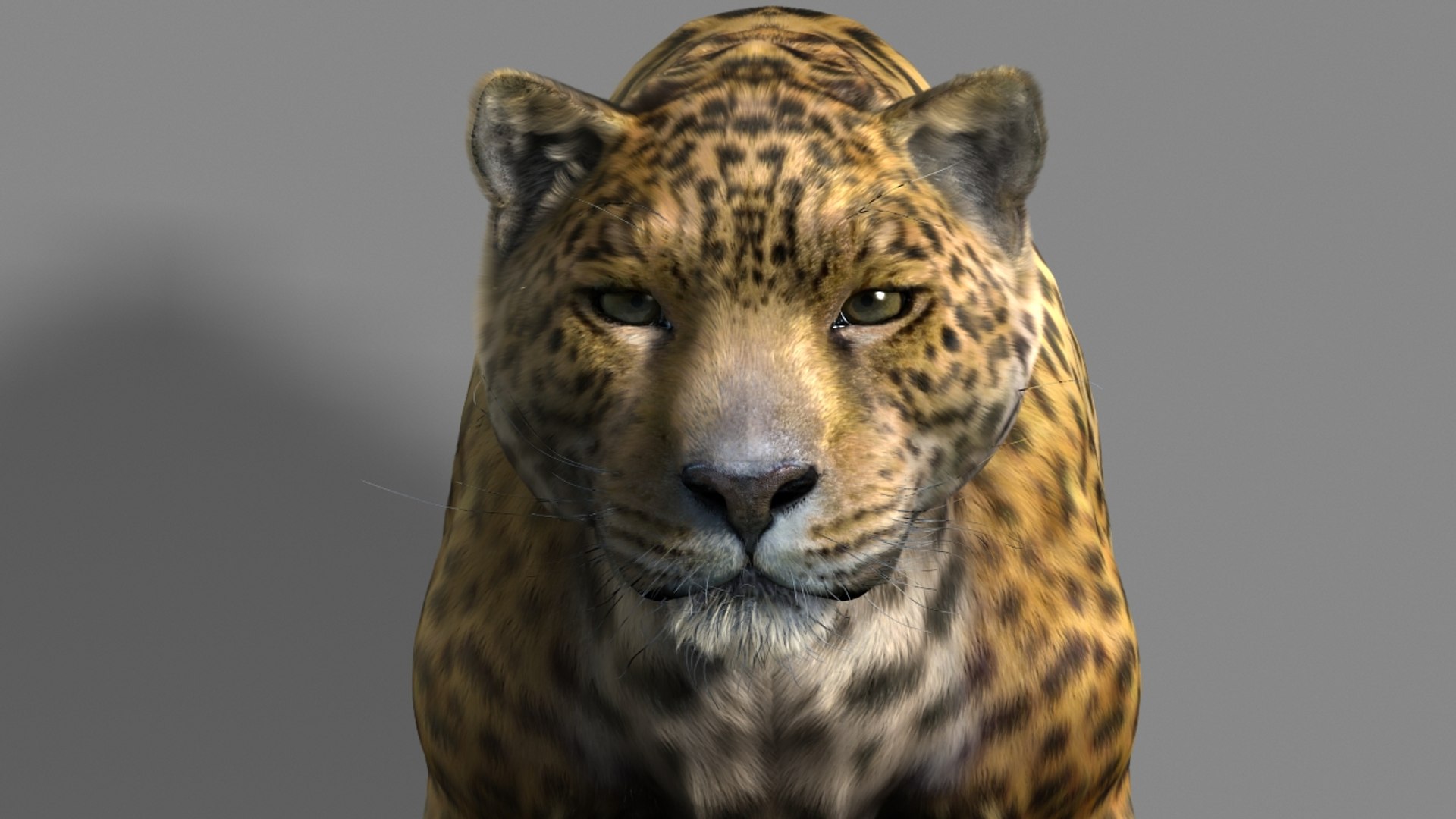 3d Leopard Cat Model