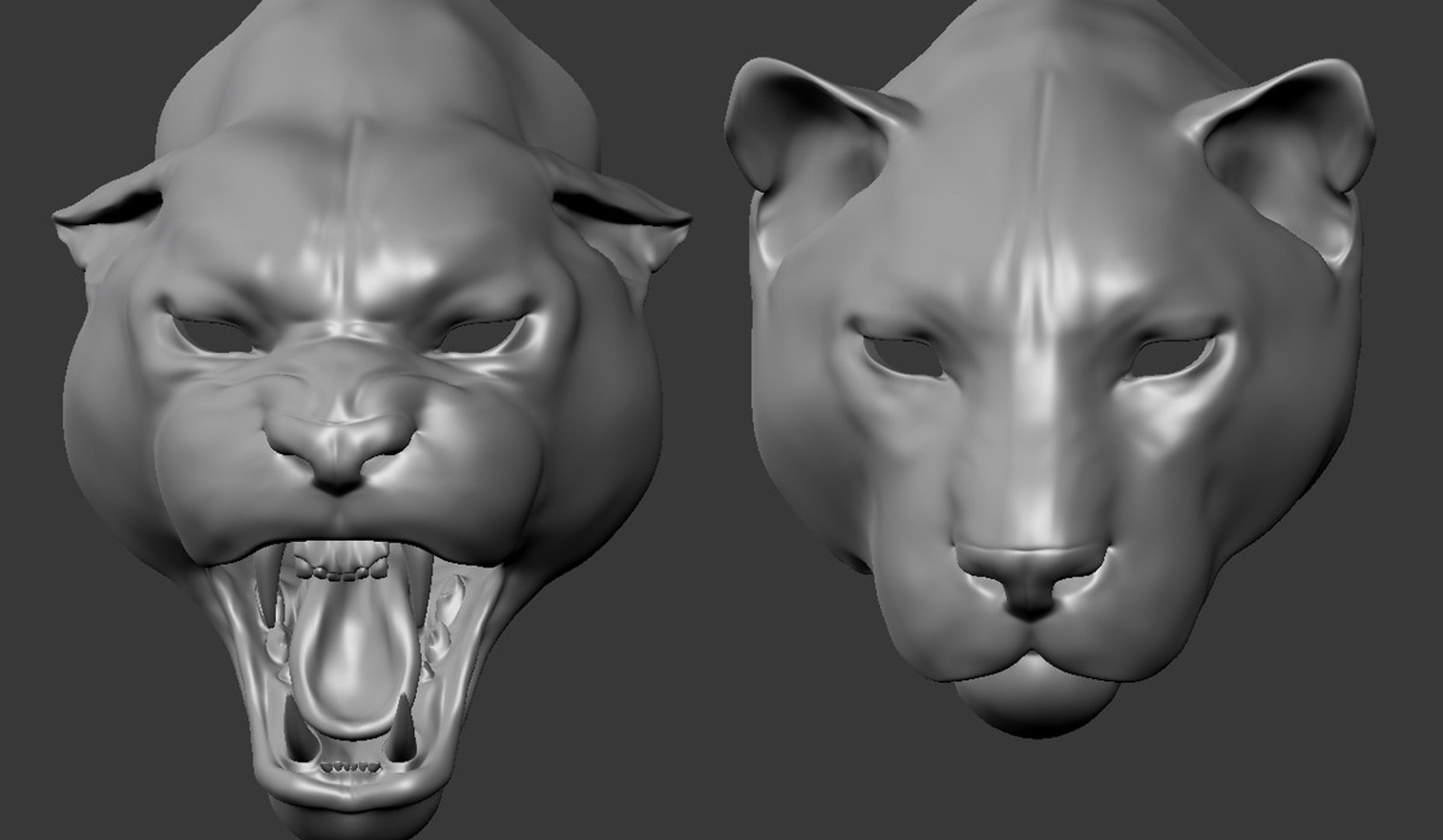 3d Leopard Cat Model