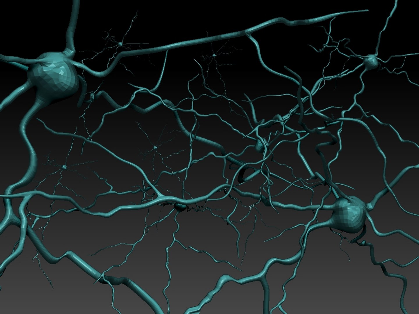 3D Neuron Model - TurboSquid 976706
