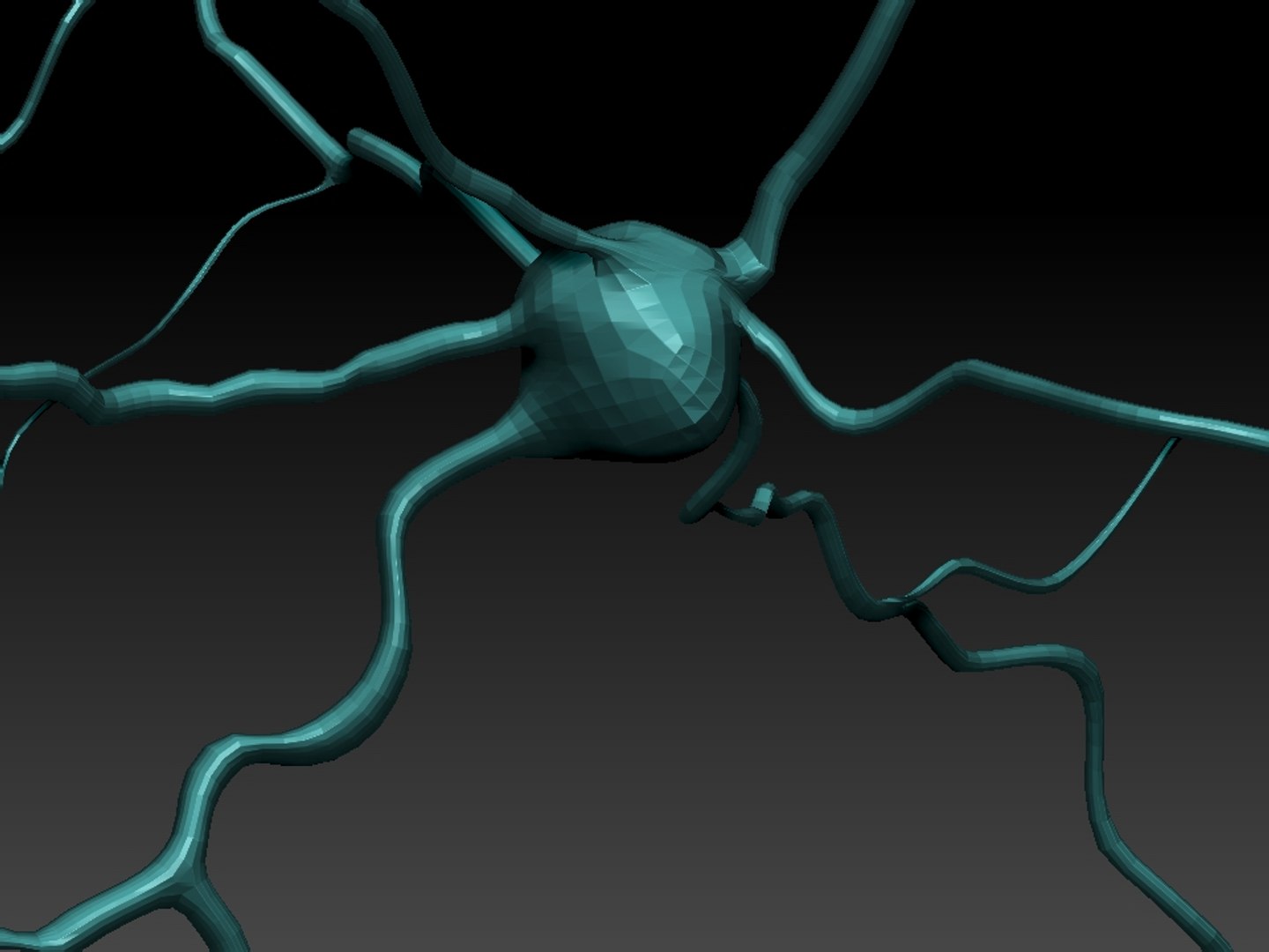 3D Neuron Model - TurboSquid 976706