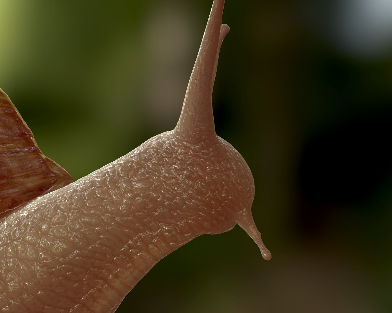 3D Snail Realistic Pbr - TurboSquid 1313529
