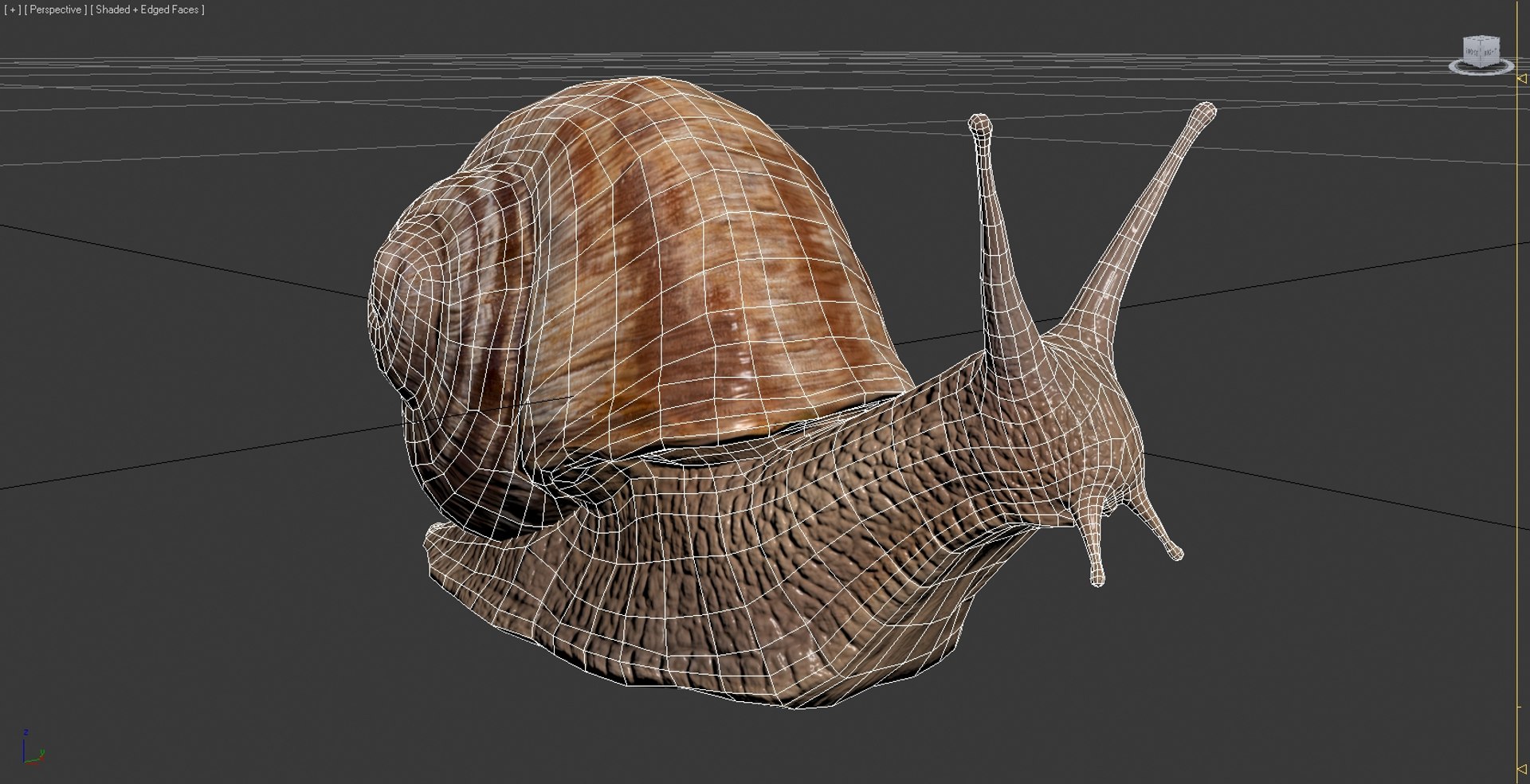 3D Snail Realistic Pbr - TurboSquid 1313529
