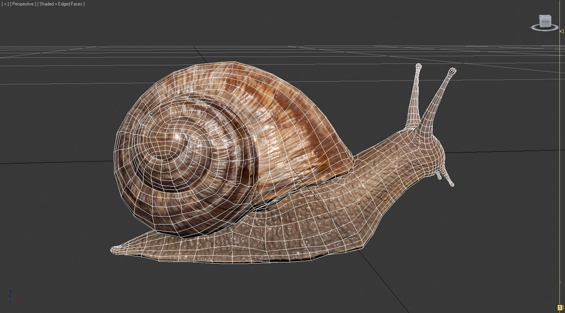 3D Snail Realistic Pbr - TurboSquid 1313529